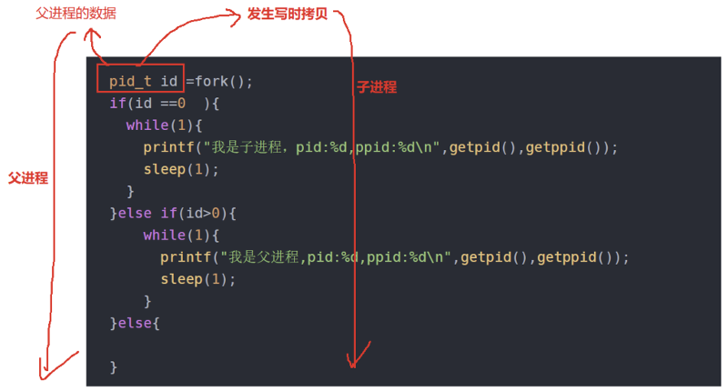 Linux fork() 函数详解-doola
